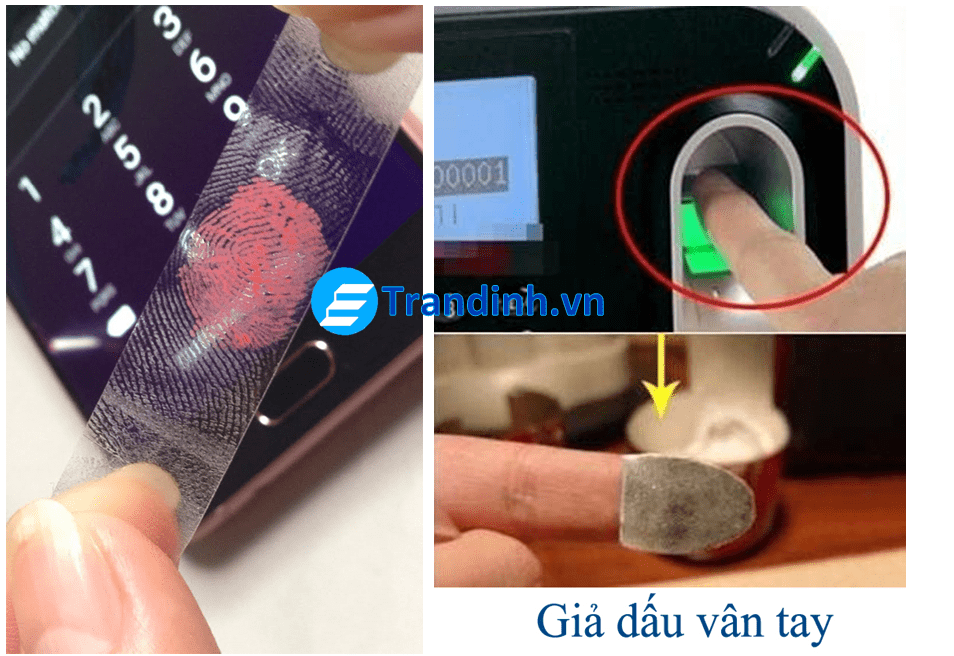 Cảm biến vân tay bán dẫn FPC là gì? Tìm hiểu tính năng ưu việt